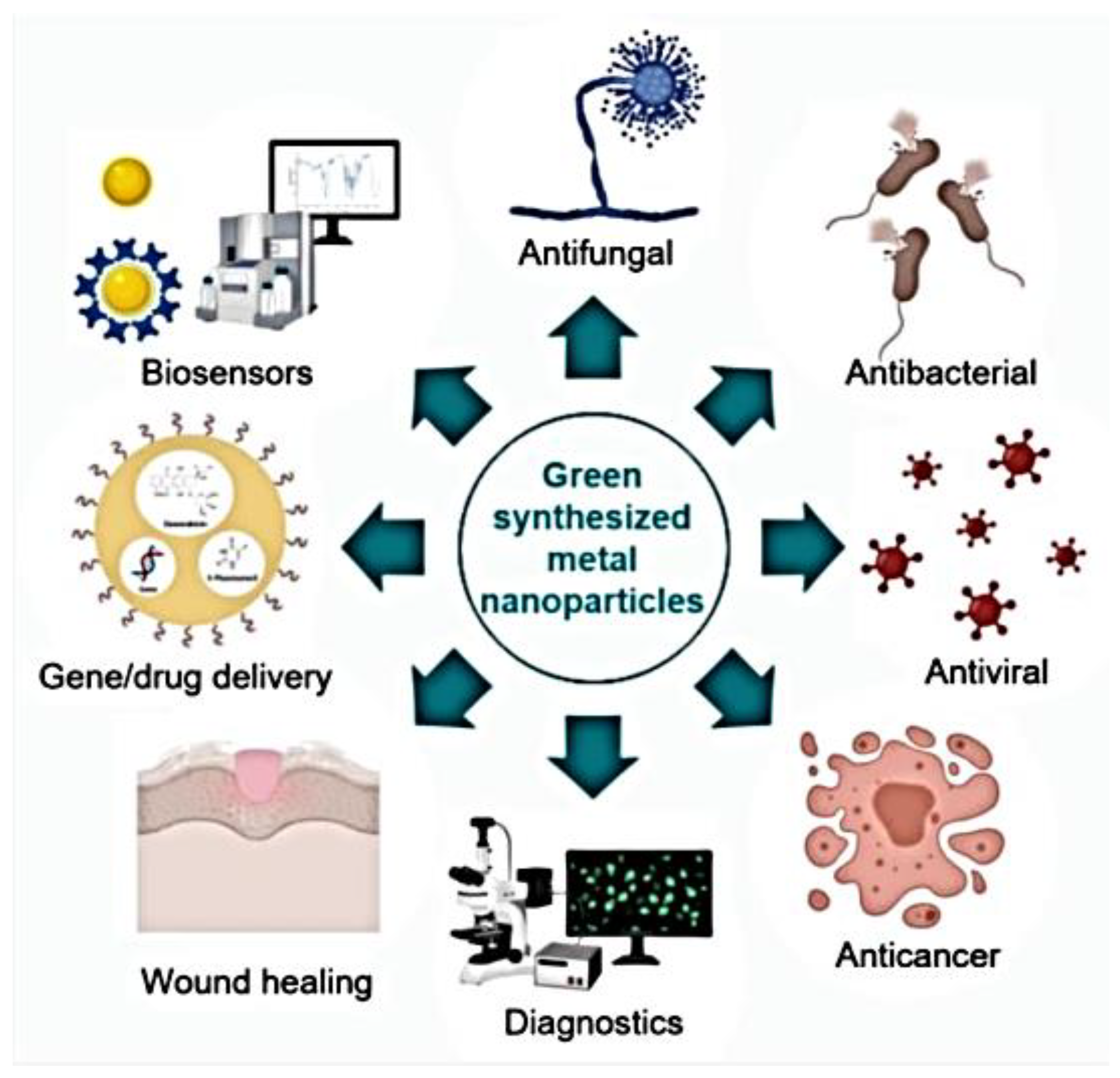 Green Synthesis of Nanoparticles and Their Energy Storage ...
