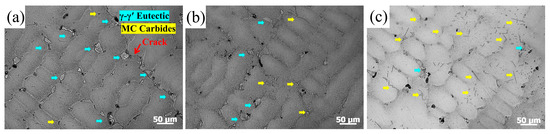 Solidification Segregation Behavior and Homogenization Process of a ...