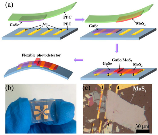 Type-II GaSe/MoS2 van der Waals Heterojunction for High-Performance ...