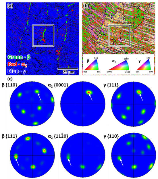 Microstructure Evolution of Gas-Atomized β-Solidifying γ-TiAl Alloy Powder during Subsequent ...