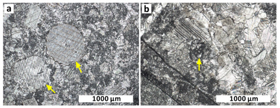 A New Type of White Nephrite from Limestone Replacement along the ...