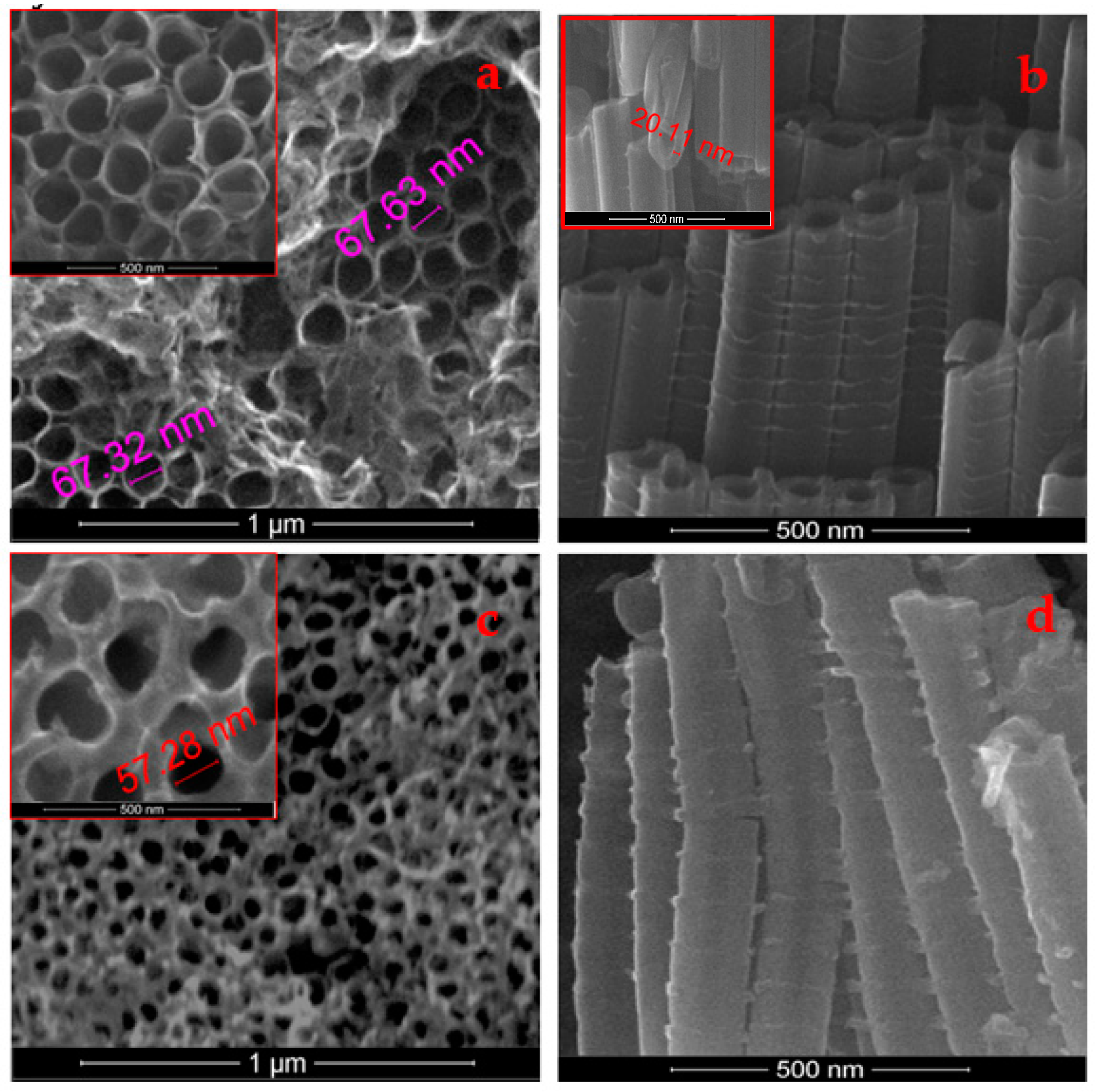 Y-Branched Titanium Dioxide Nanotubes as a Potential Antimicrobial Coating for Implants