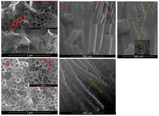 Y-Branched Titanium Dioxide Nanotubes as a Potential Antimicrobial ...