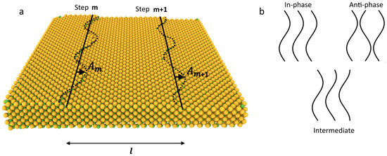 Impact of Schwoebel Barriers on the Step-Flow Growth of a ...