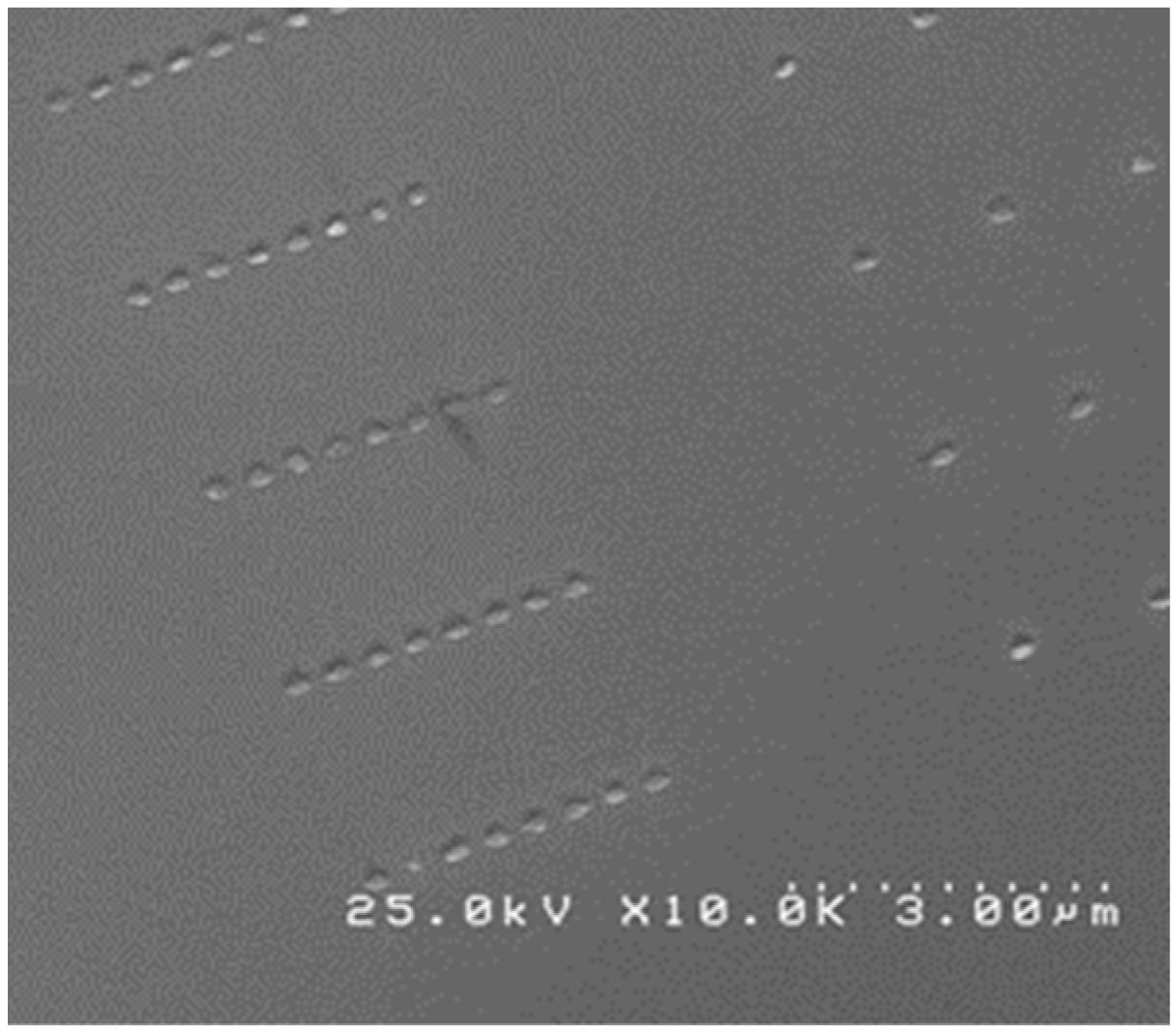 Lithographically Ordered FePt L10 Dots with High Coercivity for Logic ...