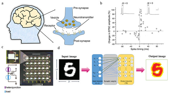 Transistor-Based Synaptic Devices for Neuromorphic Computing
