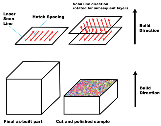 Microstructural and Hall–Petch Analysis of Additively Manufactured ...