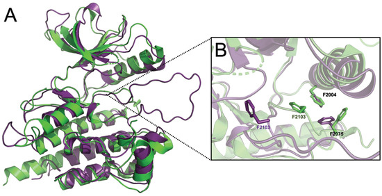 Crystals | Free Full-Text | Structural Aspects of the ROS1 Kinase ...