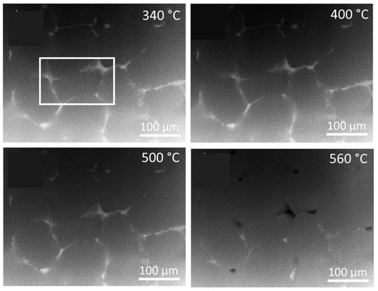 High-Temperature Phase Transformations in Al-Li-Cu-Mg-Zr-Sc Alloy ...