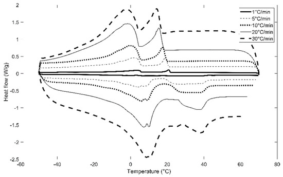Insights in the Structural Hierarchy of Statically Crystallized Palm Oil