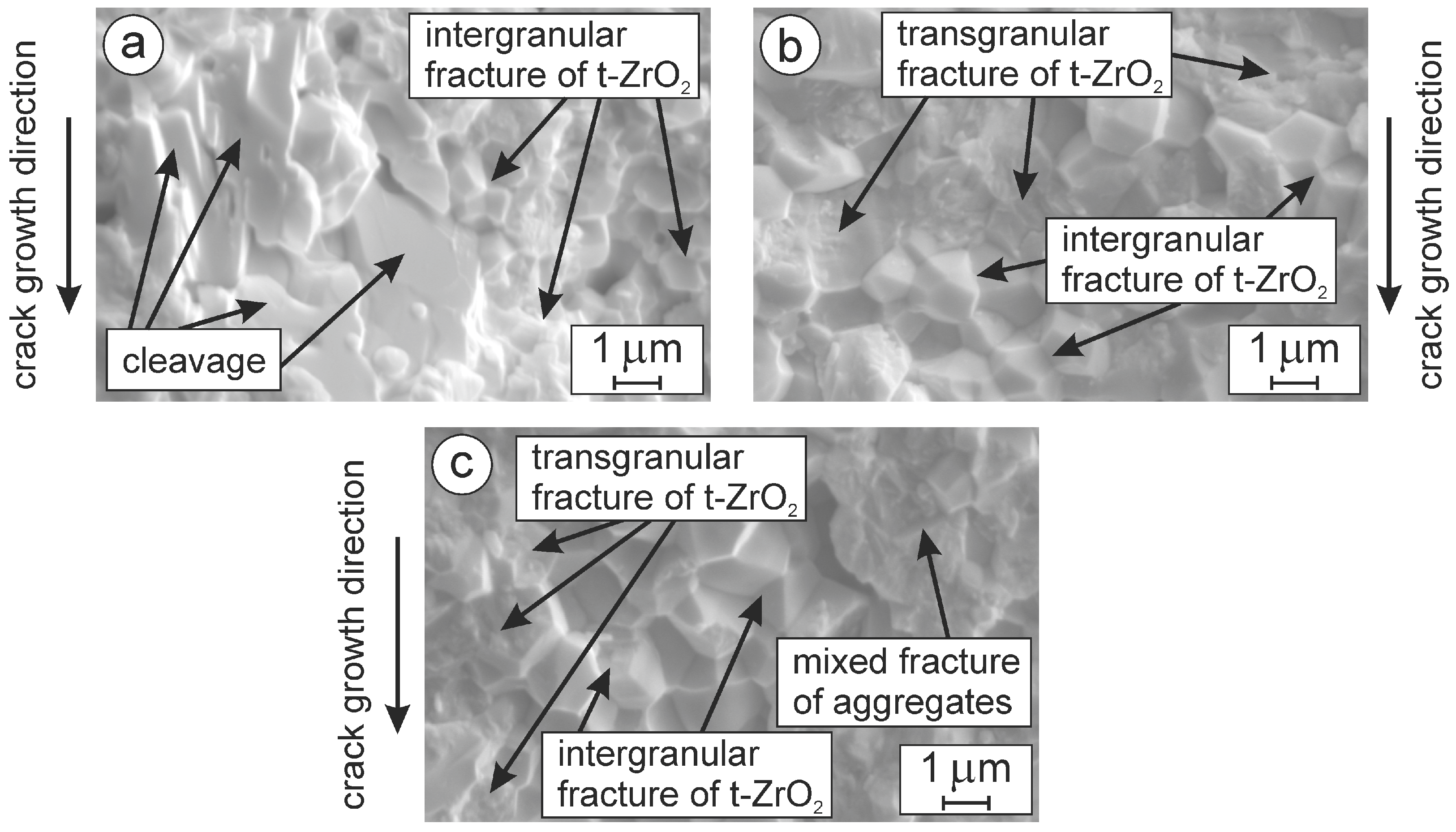 Crystals | Free Full-Text | The Effect of Sintering Temperature on Phase-Related Peculiarities ...