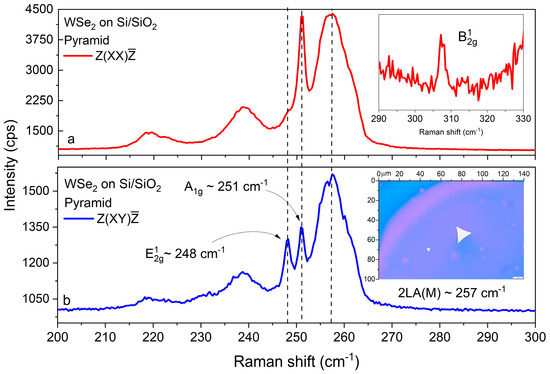 Metatungstate Chemical Vapor Deposition of WSe2: Substrate Effects ...