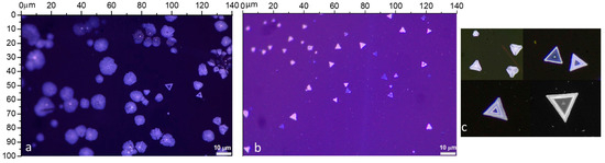 Metatungstate Chemical Vapor Deposition of WSe2: Substrate Effects ...