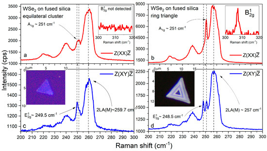 Metatungstate Chemical Vapor Deposition of WSe2: Substrate Effects ...