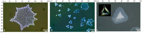 Metatungstate Chemical Vapor Deposition of WSe2: Substrate Effects ...