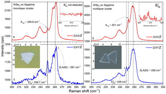 Metatungstate Chemical Vapor Deposition of WSe2: Substrate Effects ...