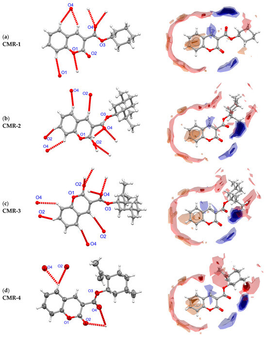 Coumarin Derivatives: The Influence of Cycloalkyl Groups at the C-3 ...