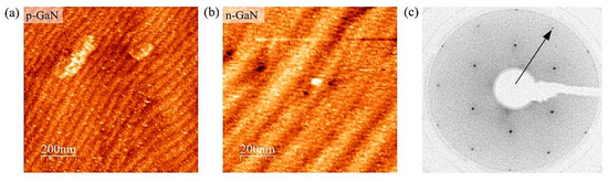 Growth and Properties of Ultra-Thin PTCDI-C8 Films on GaN(0001)