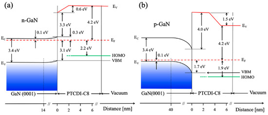 Growth and Properties of Ultra-Thin PTCDI-C8 Films on GaN(0001)
