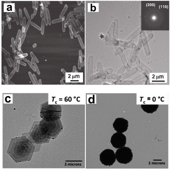 Review on Crystallization Strategies for Polymer Single Crystals