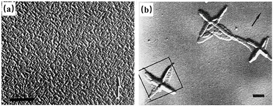 Review on Crystallization Strategies for Polymer Single Crystals