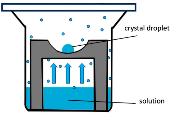 Review on Crystallization Strategies for Polymer Single Crystals