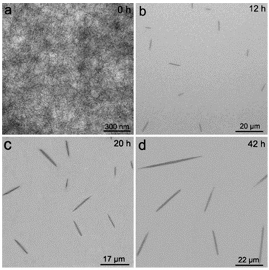 Review on Crystallization Strategies for Polymer Single Crystals