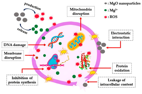 Crystals | Free Full-Text | Magnesium Oxide (MgO) Nanoparticles ...