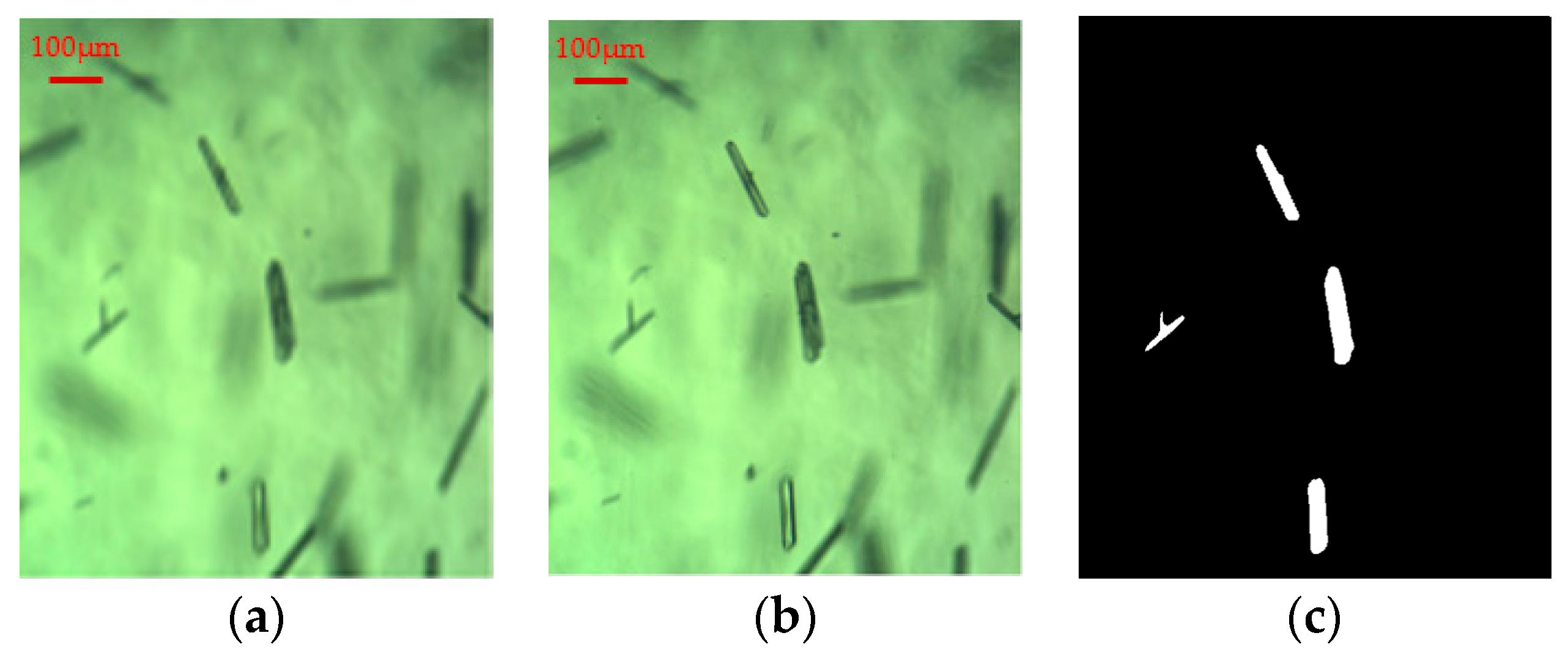 Online Defect Detection in LGA Crystallization Imaging Using MANet ...