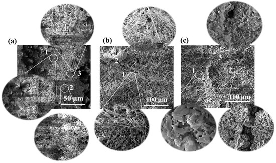 A Study of the Hot Salt Corrosion Behavior of Three Nickel-Based Single-Crystal Superalloys at ...