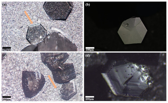 Growth of Spontaneous Nucleation AlN Crystals by Al-Base Alloy ...