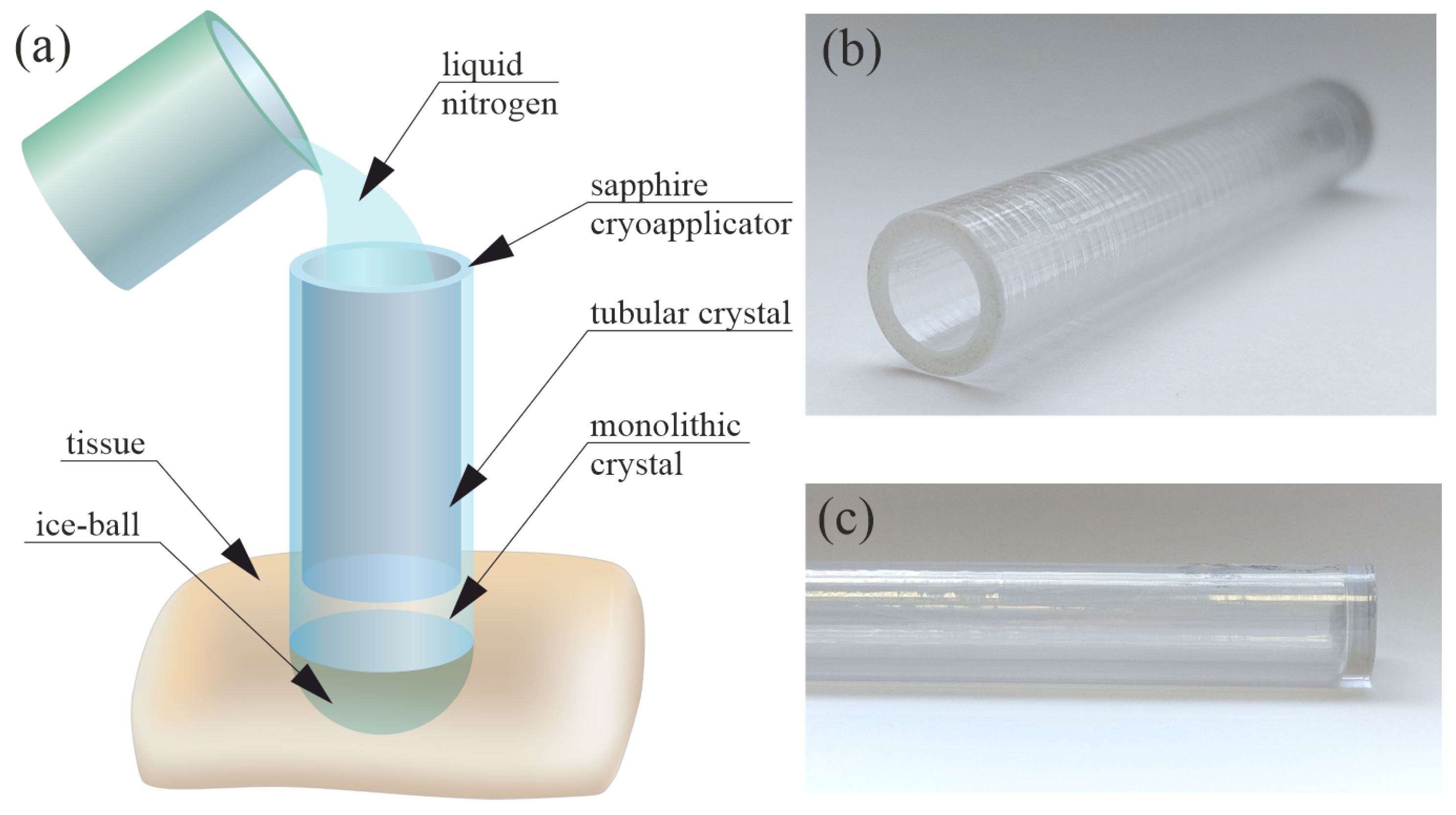 Manufacturing of Sapphire Crystals with Variable Shapes for ...