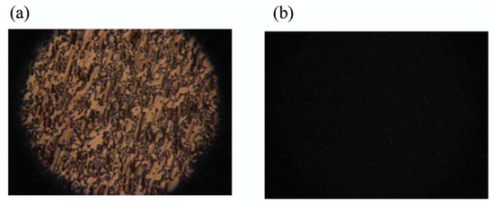 Ferroelectric Smectic Liquid Crystals