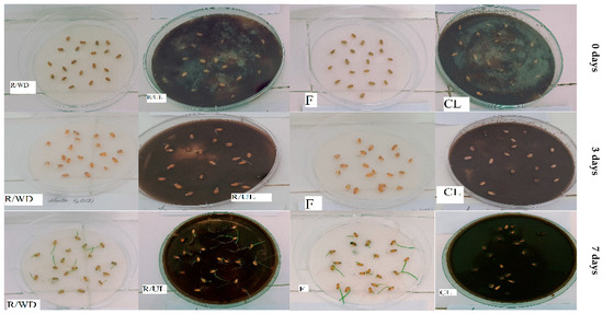 Adsorption of Ni(II) from Aqueous Media on Biodegradable Natural ...