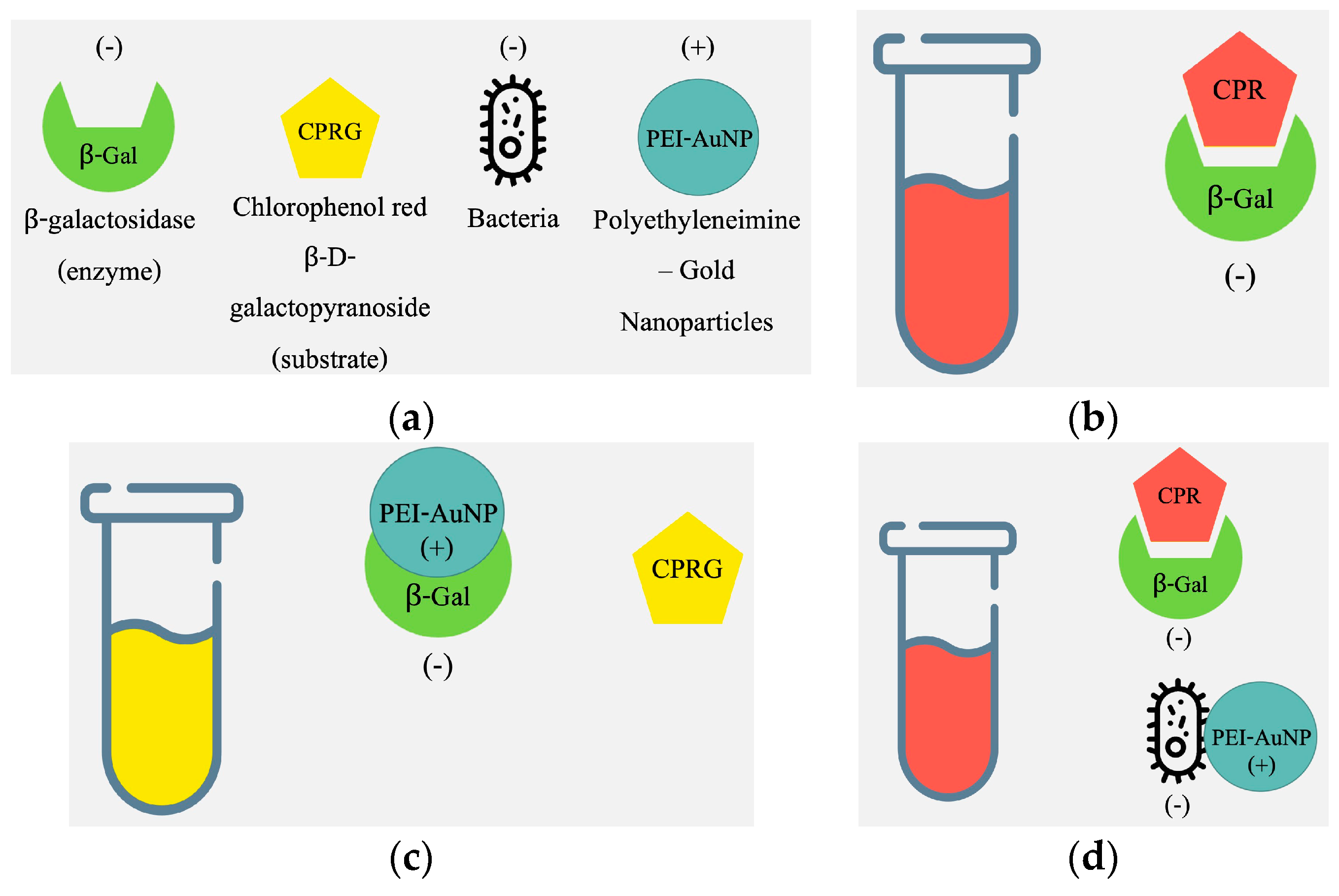 Analysis and Modification of a Colorimetric Nanosensor for Rapid ...