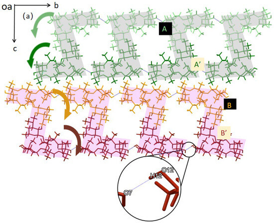 CO2 Promoting Polymorphic Transformation of Clarithromycin: Polymorph ...