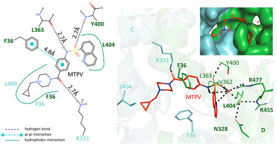 High Resolution Crystal Structure of the Pyruvate Kinase Tetramer in ...