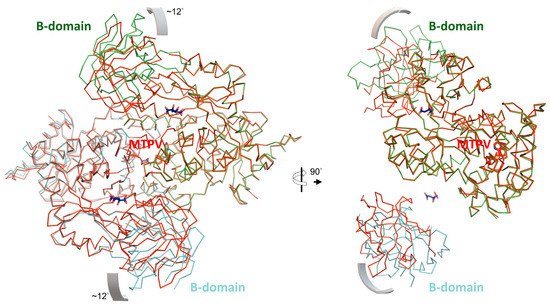 High Resolution Crystal Structure of the Pyruvate Kinase Tetramer in ...