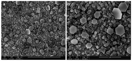 Crystal Morphology Prediction Models and Regulating Methods