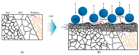Effect of Ultrasonic Shot Peening on Microstructure and Corrosion ...