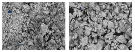 Electronic State-Regulated Magnetic Phenomena in Single-Crystal FeSe