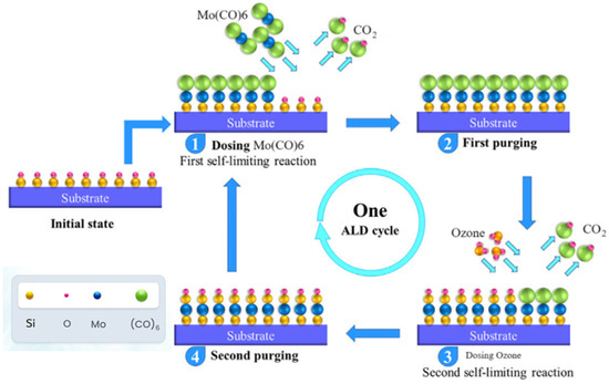 Wafer-Scale ALD Synthesis of MoO3 Sulfurized to MoS2