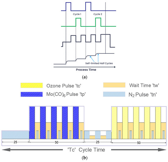 Wafer-Scale ALD Synthesis of MoO3 Sulfurized to MoS2