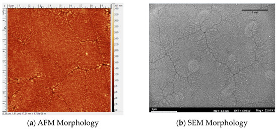 Wafer-Scale ALD Synthesis of MoO3 Sulfurized to MoS2
