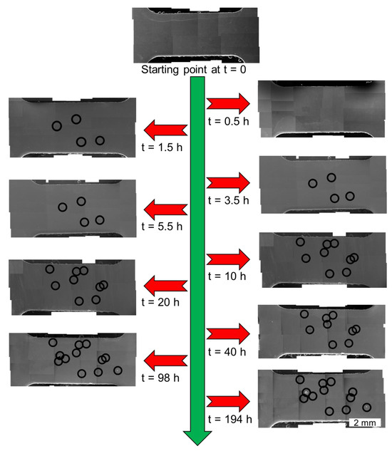 Early Stages of Crack Nucleation Mechanism in Fe39Mn20Co20Cr15Si5Al1 ...