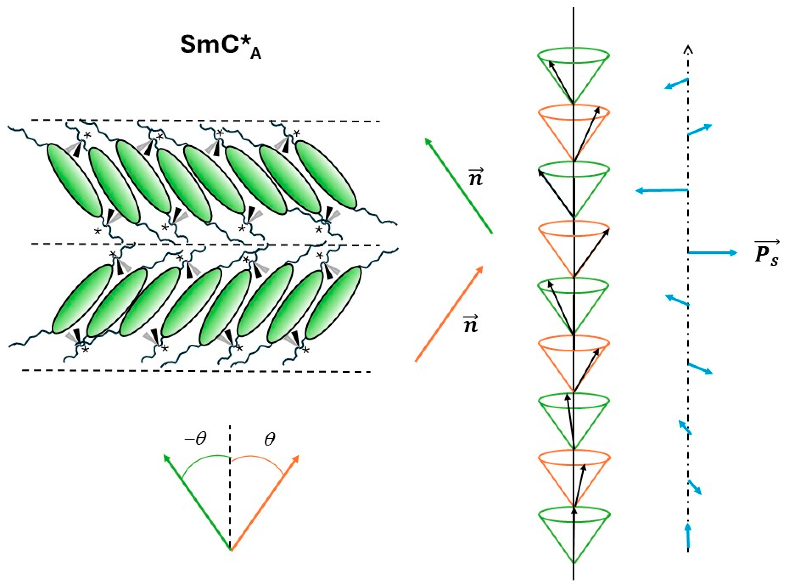Supramolecular Arrangement and Conformational and Dynamic Properties of ...