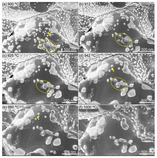 Growth and Faceting of Tungsten and Oxides in Scandate Cathode ...