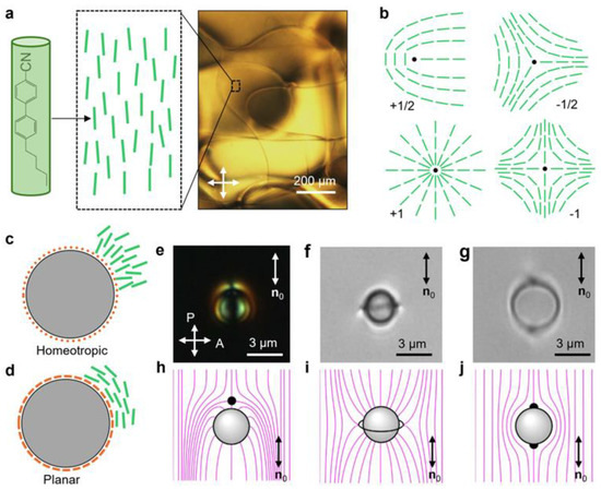 Chiral, Topological, and Knotted Colloids in Liquid Crystals
