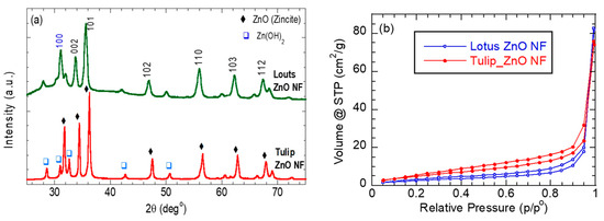 Hydrothermal Synthesis of ZnO Nanoflowers: Exploring the Relationship between Morphology ...