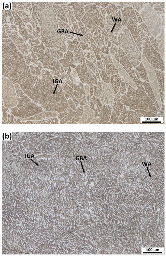 Effect of Solution Annealing on Microstructure, Tensile and Corrosion ...